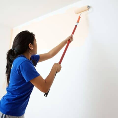 Our Paint Department - Casey's Project Store